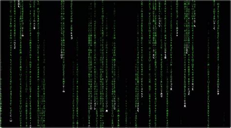 Live Wallpaper Matrix Code Download On