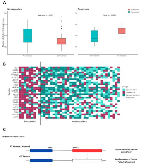 Identifying Strong Neoantigen Mhc I Ii Binding Candidates For Targeted Immunotherapy With Sine Pmc