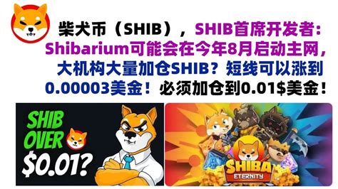 柴犬币（shib），shib首席开发者shibarium可能会在今年8月启动主网，大机构大量加仓shib？短线可以涨到000003美金