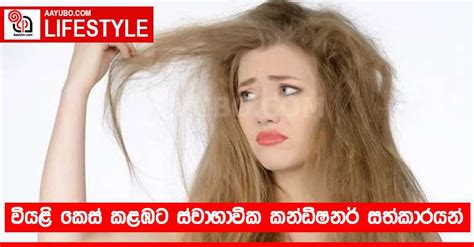 වියළි කෙස් කළඹට ස්වාභාවික කන්ඩිෂනර් සත්කාරයන්