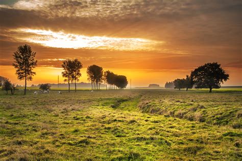 Kostenlose Bild Sonnenuntergang Natur Landschaft Dämmerung Sonne