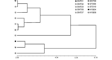Upgma Clustering Of The Celery Farmer Populations And Varieties Based Download Scientific