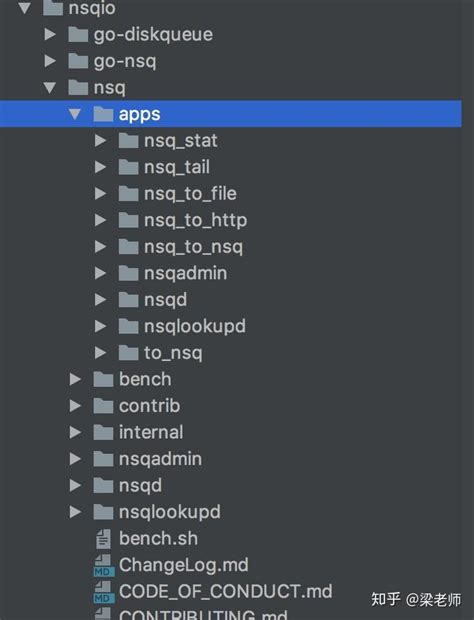 带你入门go语言的消息队列nsq 知乎