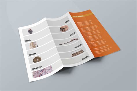 Bahan Yang Perlu Dari Brosur Graphic Design Agency Indonesia Soocadesign