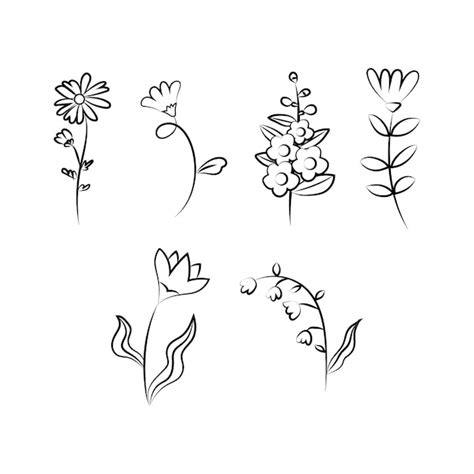 Vector Illustration Flower Line Art Set Free Vector