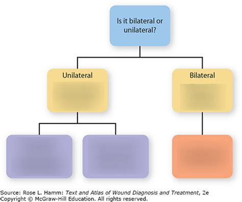 Compression Decision Tree Diagram Quizlet