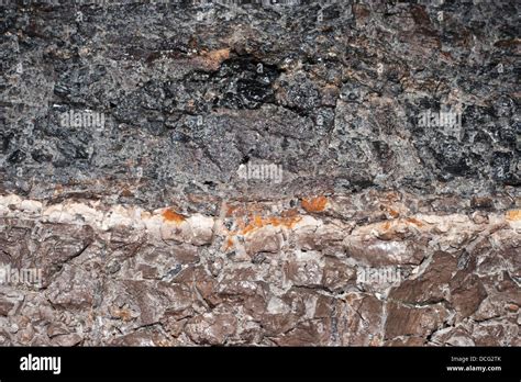 Sample Of The K T Cretaceous Tertiary Boundary From The Frenchman Stock Photo 59360467 Alamy