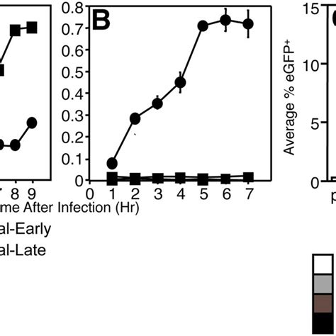 Sequestered Antigen Is Not Available For Cross Priming But Can Be Download Scientific Diagram