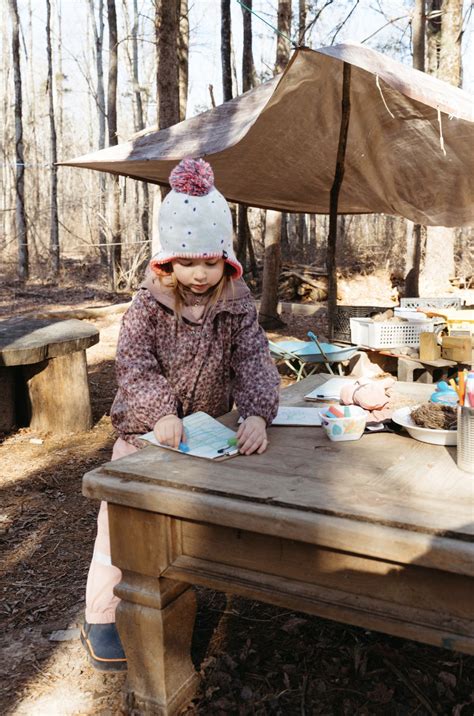 Sapling Woods Nature School