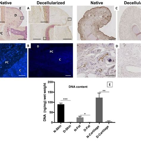 Ecm 3d Histology Reconstruction A Methodology Native And Download Scientific Diagram