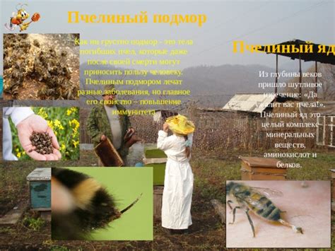 Здоровье на крыльях пчел