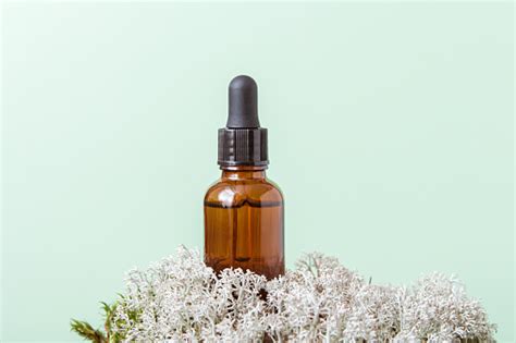 회색 이끼 배경 자연 배경에 드롭퍼 어두운 유리 병 모형 친환경 케어 유기농 제품 뷰티 트리트먼트 마사지 및 스파 컨셉 공간을