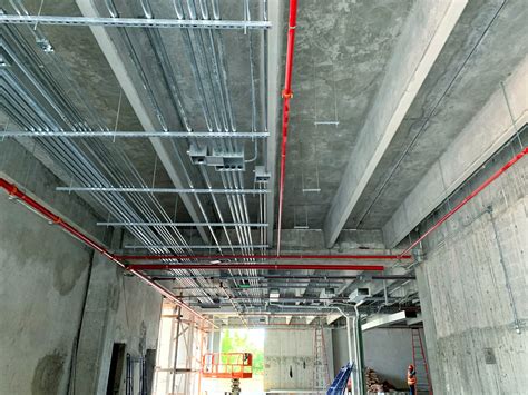 Centro De Acopio Euclides Morillo Conelca