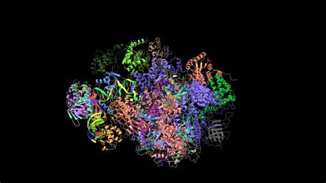 Human Multi Subunit Pre Initiation Complex In Closed Open Initial
