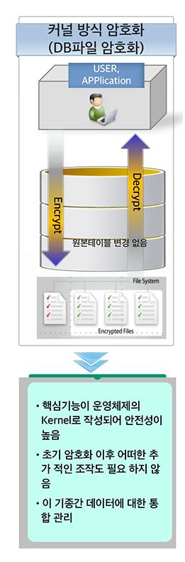 Db 암호화 엑츠솔루션
