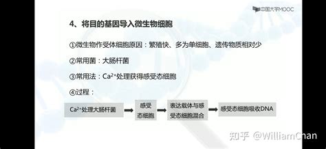 生物 基因工程的基本流程 知乎