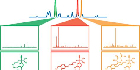A New Software Solution For Efficient Comprehensive Metabolite Identification Spectroscopy