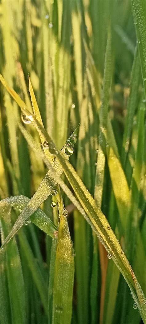 Karuna Karan E Posted On Linkedin