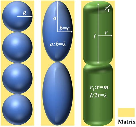 Diagram Of Particles After Fully Assembly In The Matrix Download Scientific Diagram