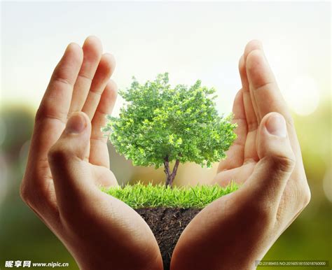手捧植物摄影图 树木树叶 生物世界 摄影图库 昵图网