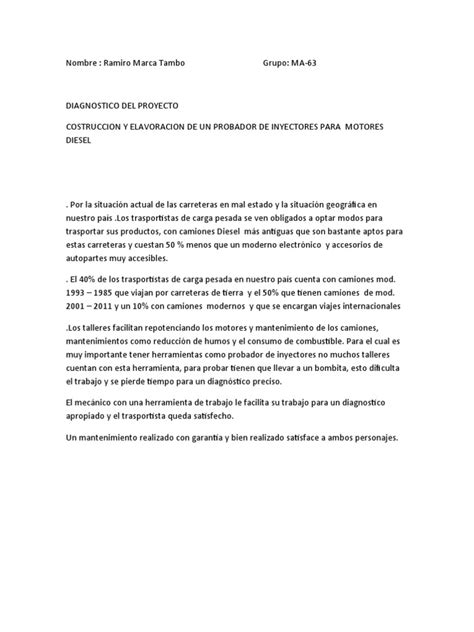Diagnostico Del Proyecto Pdf