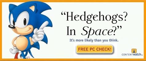 Hedgehogs In Space Its More Likely Than You Think Rsonicthehedgehog