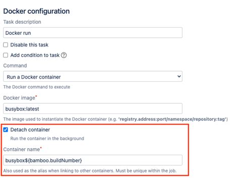 How To Avoid Docker Container Deletion After Build Completion Bamboo
