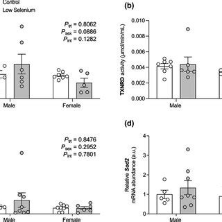 The Effects Of Maternal Selenium Deficiency On Selenodependent Download Scientific Diagram