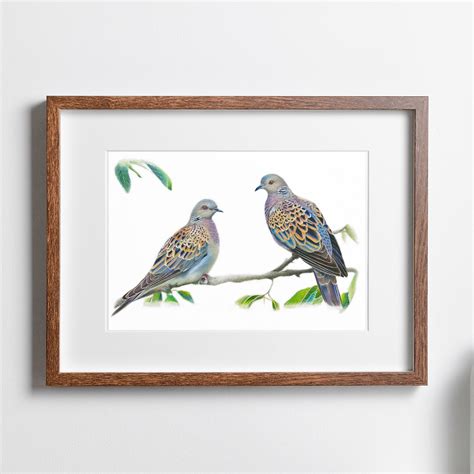 Two Turtle Doves Limited Edition Print Ruths Portraits