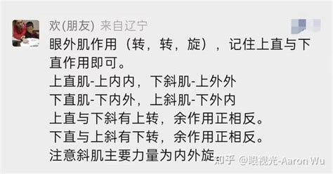 一次吃透系列栏目8眼外肌 知乎
