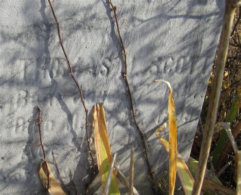 Thomas J Scott 1847 1899 Homenaje De Find A Grave