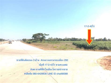 ขายที่ดินติดถนนวงแหวนรอบเมือง 290 เนื้อที่ 17 5ไร่ ติดทาง 3ด้าน ติด ทล 2198 100เมตร ขามทะเลสอ