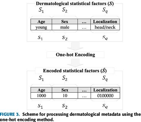 Figure 3 From Multimodal Analysis Of Unbalanced Dermatological Data For Skin Cancer Recognition