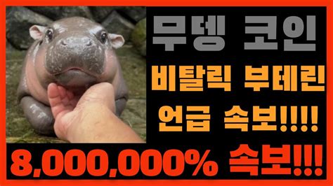 무뎅 코인 비탈릭 부테린이 홀딩하는 코인 확인필수 Youtube