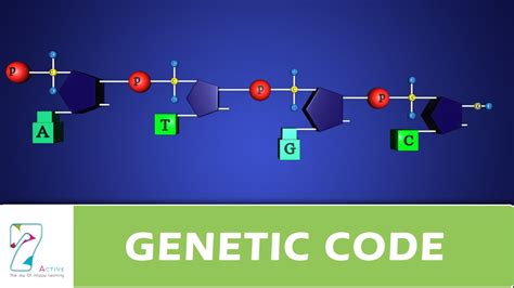 Genetic Code สรุปข้อมูลที่ปรับปรุงใหม่ที่เกี่ยวข้องกับตาราง Codon