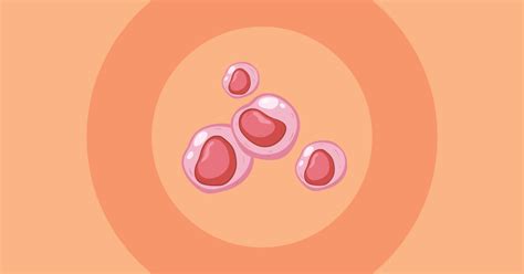 Chlamydia Symptoms Causes And Treatment Options Ova Sg