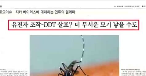 [미리보는 동아일보]지카 공포 모기 안 물리는 법