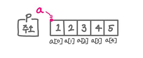 C 1차원 배열과 포인터
