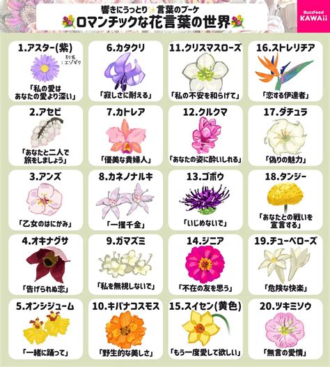 BuzzFeedKawaii BuzzFeedKawaii on X 春 言葉 花 イラスト 誕生日花
