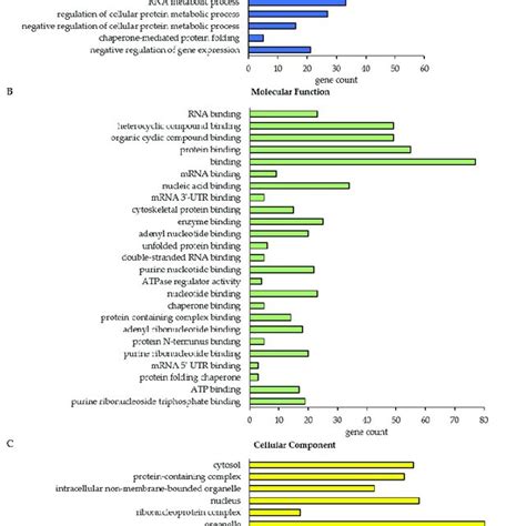 Gene Ontology Go Functional Annotation And Enrichment Analysis Of The