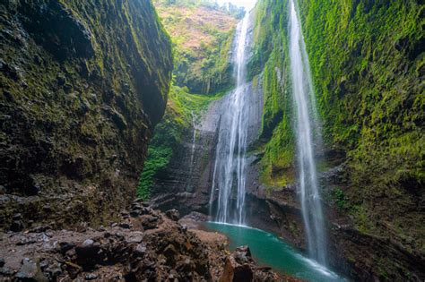 Madakaripura Wasserfall Im Nationalpark Der Höchste Wasserfall Auf Java