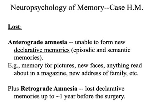 CH Memory Systems Flashcards Quizlet CH Memory Systems Flashcards Quizlet