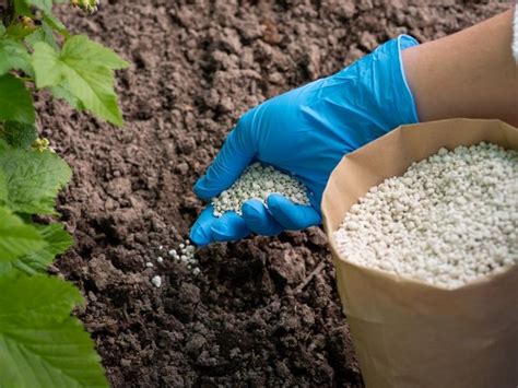 Chemical Fertilizers Canopus Global