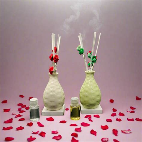 Vase Design Ceramic Defuser Homsstore