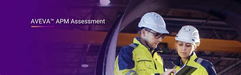Aveva™ Apm Assessment Aveva Levex
