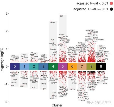 Cell文章图片复现，在线绘制scrna Seq多个cluster的差异火山图 知乎