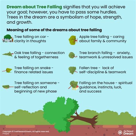 Dream Of Tree Falling Types Of Scenarios And It S Meanings