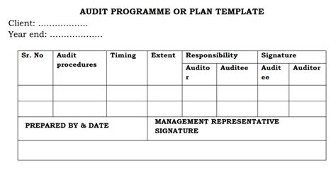 Audit Planning KNEC Notes And Revision Materials