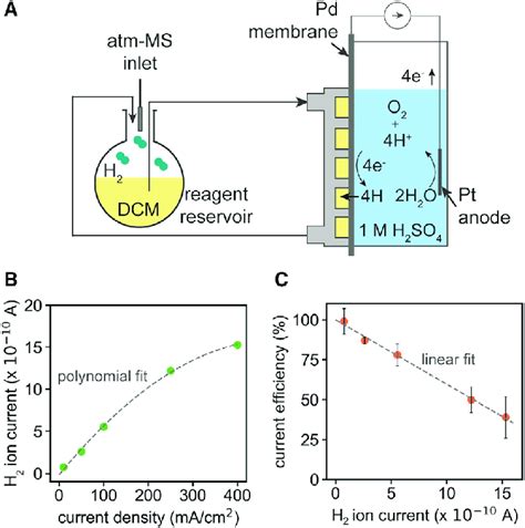 Hydrogen Permeation Through The Palladium Membrane Affects Ce A Download Scientific Diagram