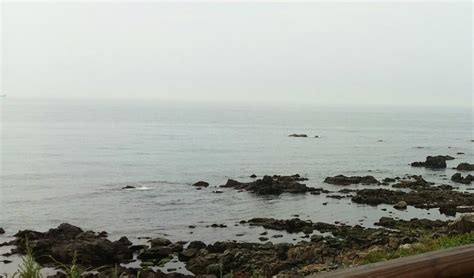 여름 시 추천바다와 나비 김기림 네이버 블로그